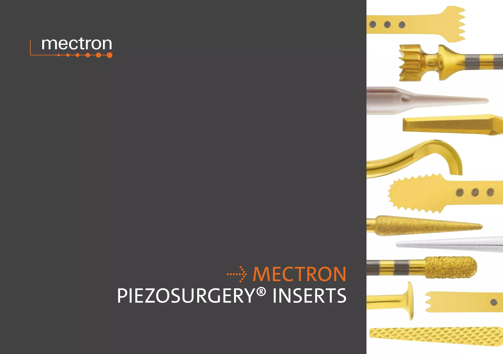 en_bro_piezosurgery_inserts.pdf