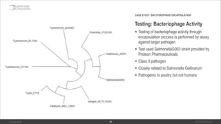 Encapsulation for industrial applications | PPTX