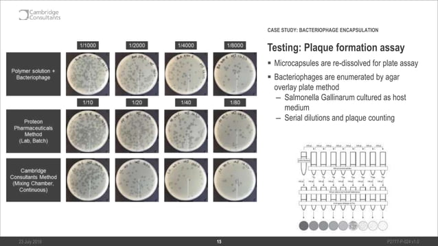 Encapsulation for industrial applications | PPTX | Chemistry | Science