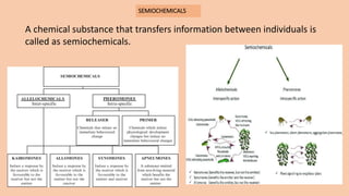 Encapsulation of semiochemicals | PPT