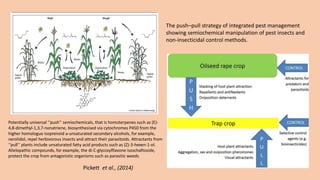 Encapsulation of semiochemicals | PPT