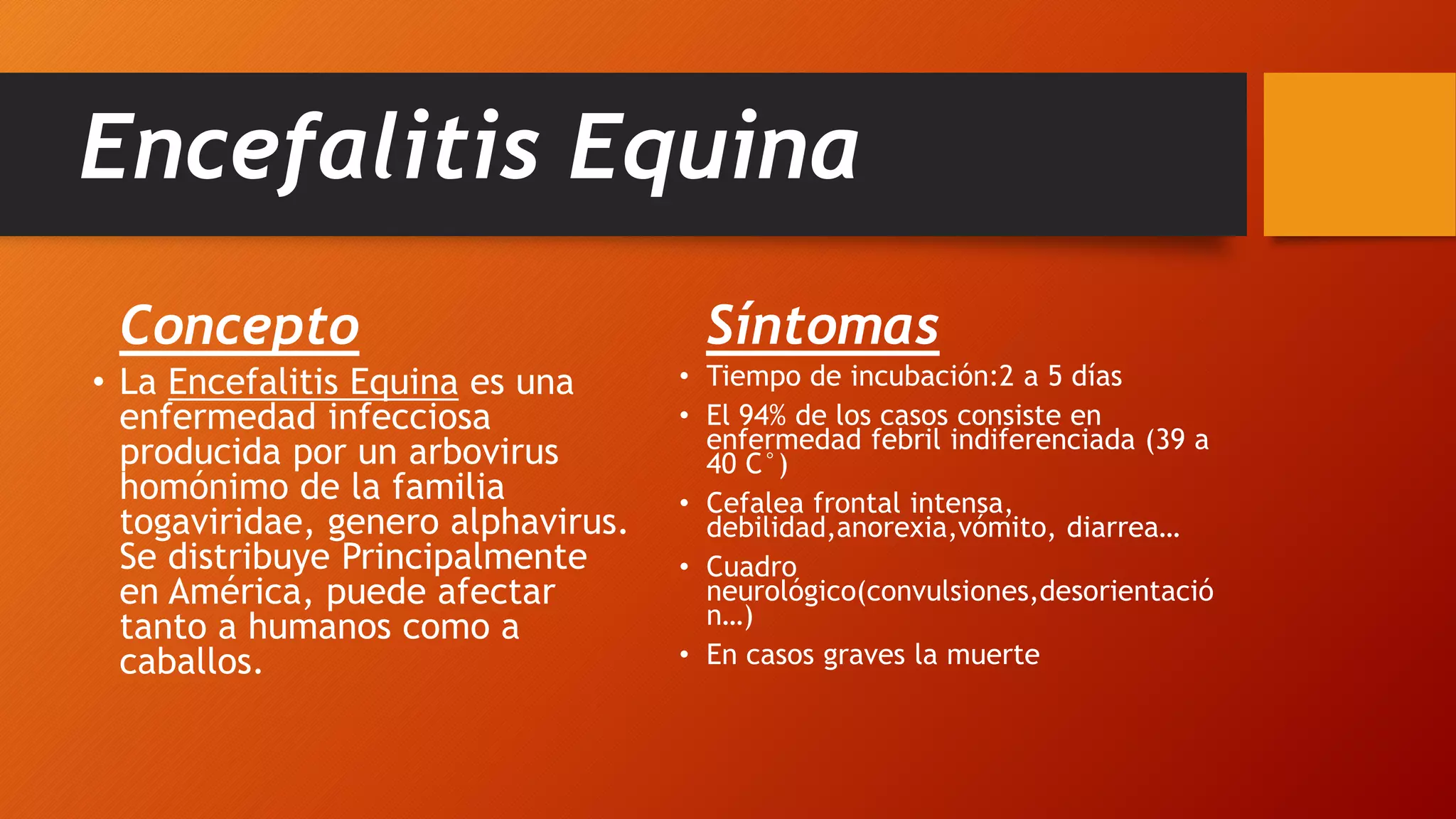 Encefalitis equina | PPTX
