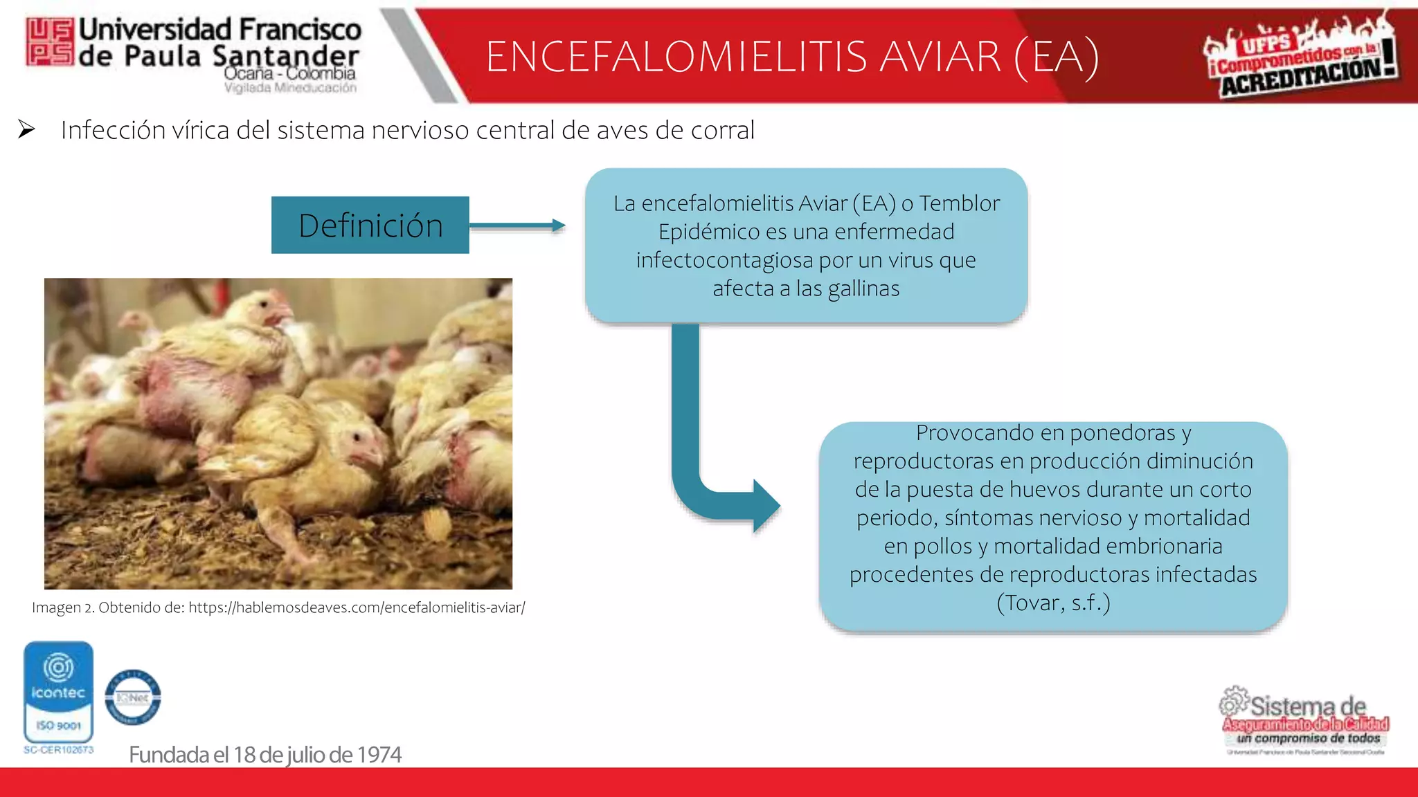 Encefalomielitis Aviar.pptx