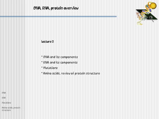 DNA,RNA and PROTEIN Overview.Just know about the genetics | PPT