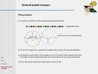 DNA,RNA and PROTEIN Overview.Just know about the genetics | PPT