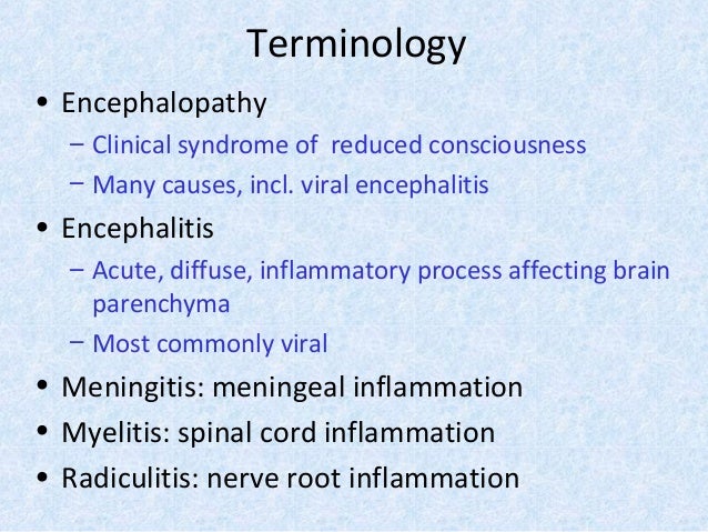 Encephalitis Meaning