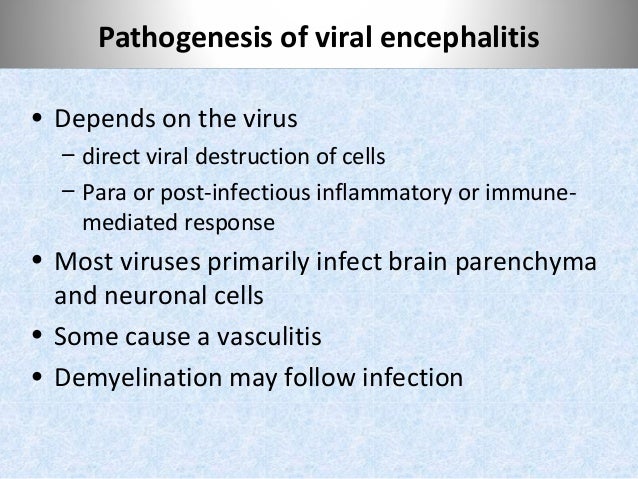 Encephalitis