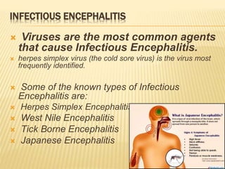 Encephalitis | PPTX