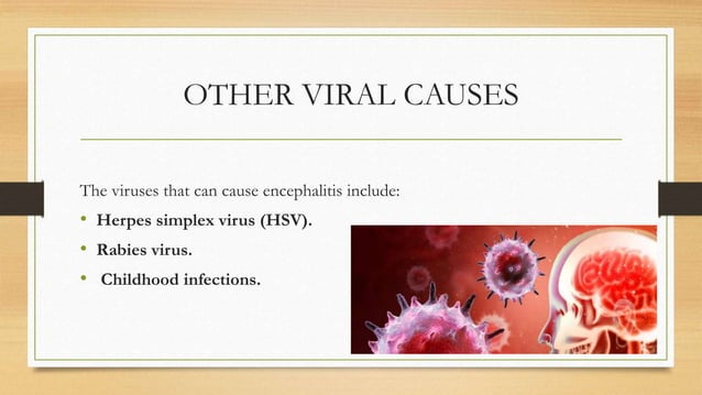 Encephalitis | PPTX | Physical Therapy | Wellness