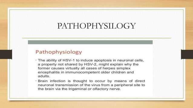 Encephalitis | PPTX | Physical Therapy | Wellness