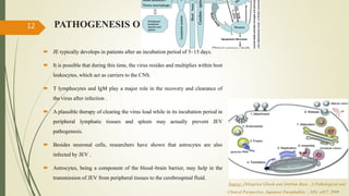 Encephalitis - A deadly infection | PPTX