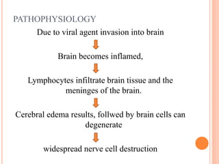 Encephalitis & Nursing care | PPTX