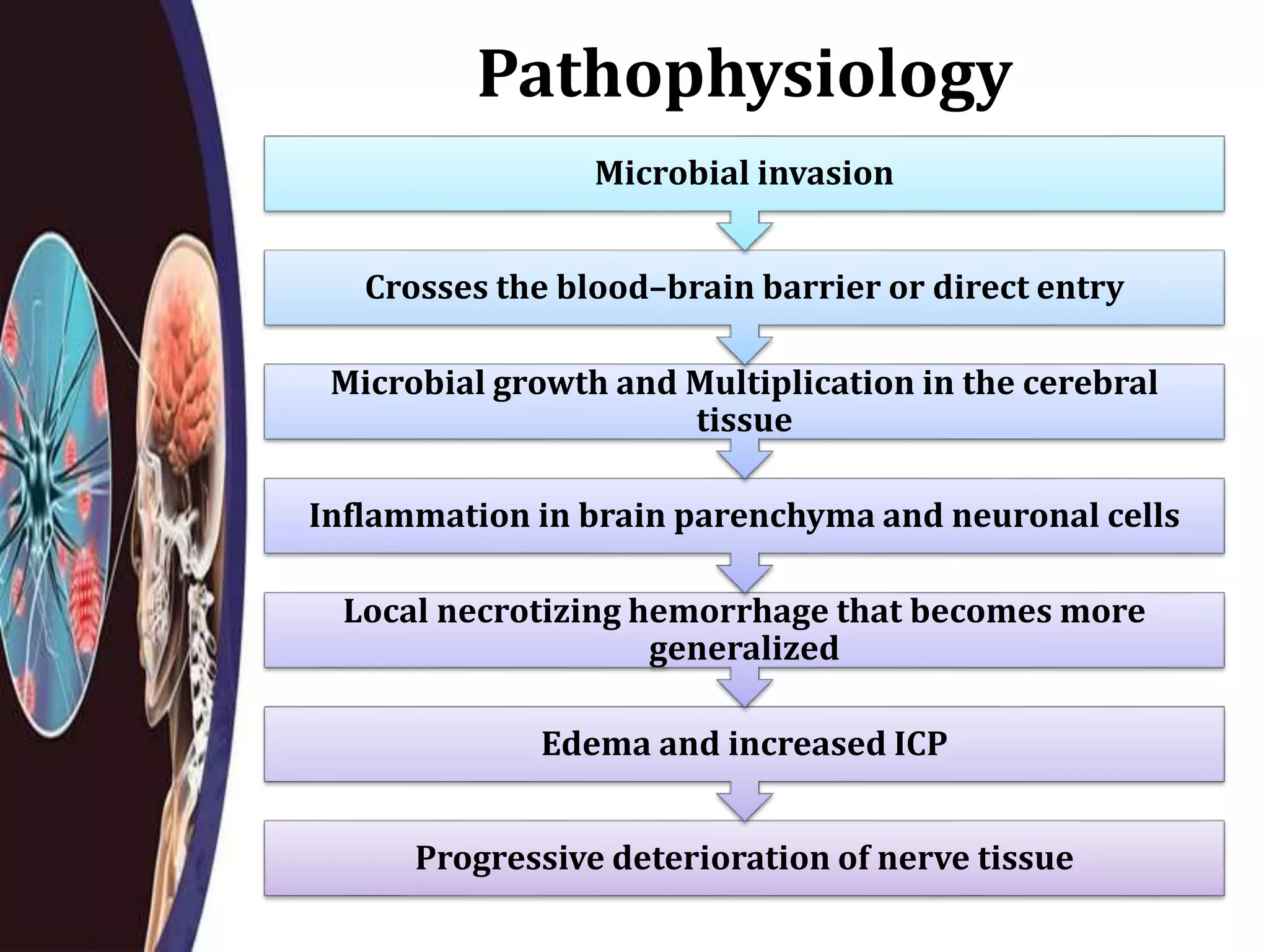 Encephalitis | PPTX