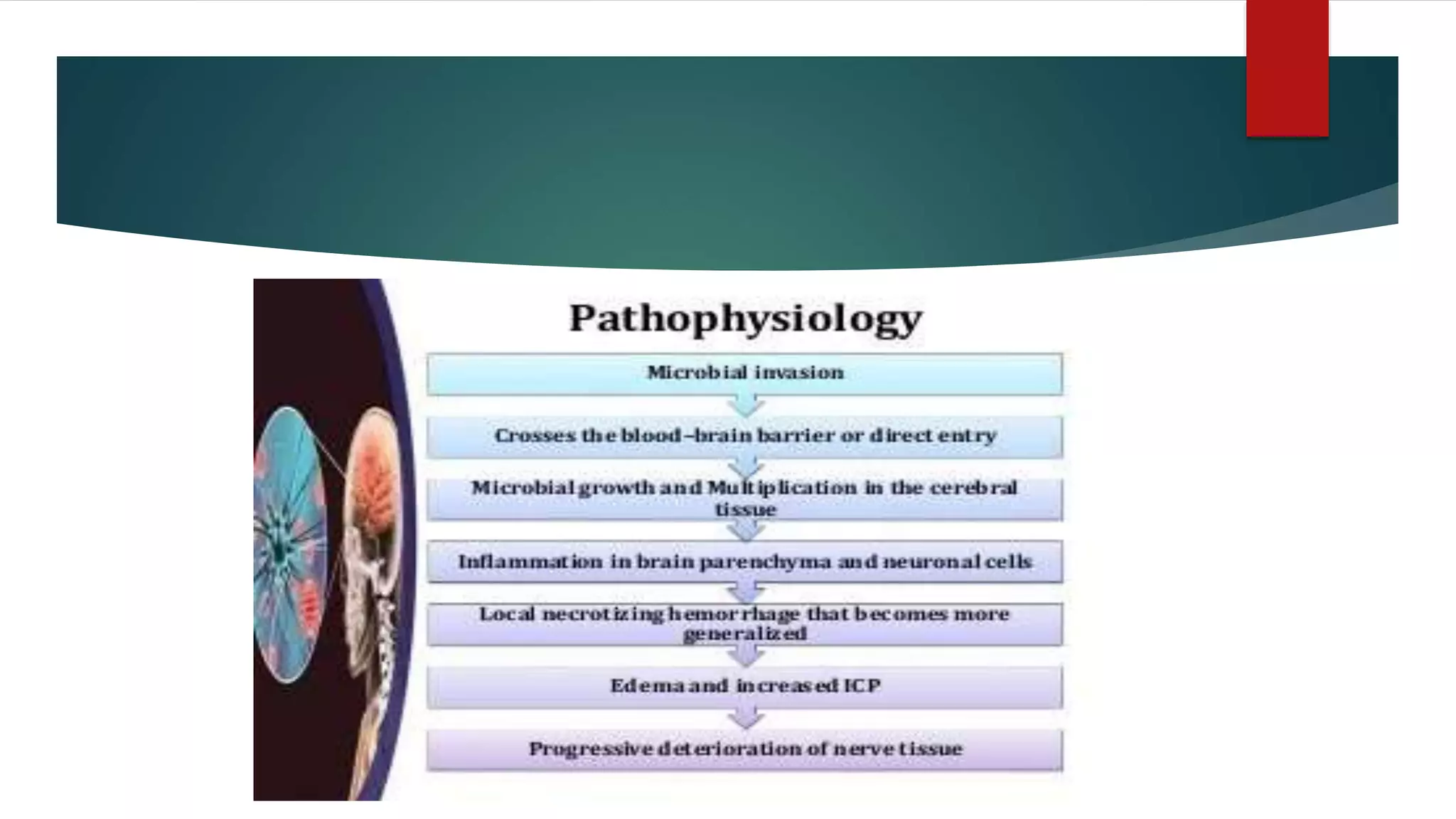 Encephalitis & brain abscess.pptx