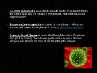 Encephalitis explanation | PPTX
