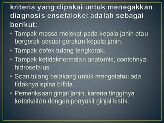 Encephalomeningokel | PPT | Free Download