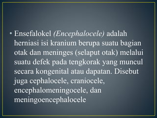 Encephalomeningokel | PPTX