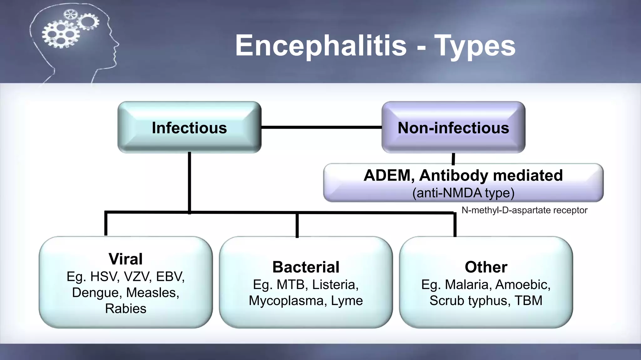 Encephalitis & Encephalopathies | PPTX