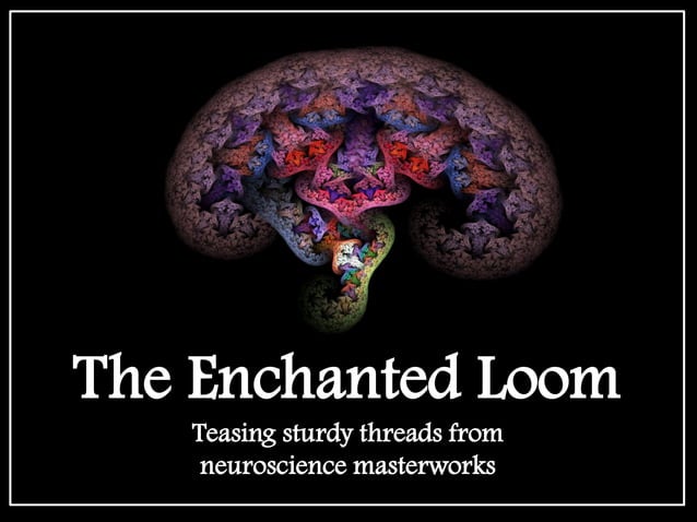 The Enchanted Loom reviews Robert Scaer's book, The Trauma Spectrum | PPT