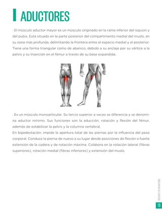 ENCICLOPEDIA-DE-EJERCICIOS-ACTUALIZADO.pdf
