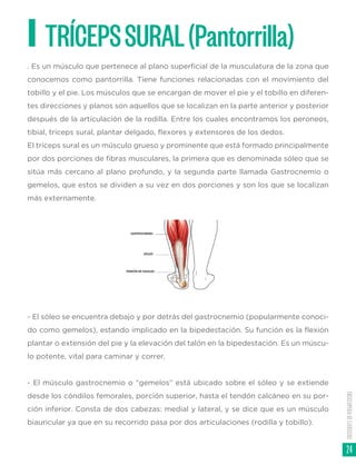ENCICLOPEDIA-DE-EJERCICIOS-ACTUALIZADO.pdf