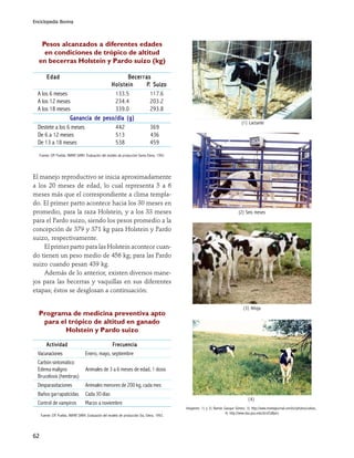 Enciclopedia bovina (unam) | PDF