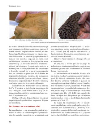 Enciclopedia_Bovina_UNAM guia y ilustrada.pdf