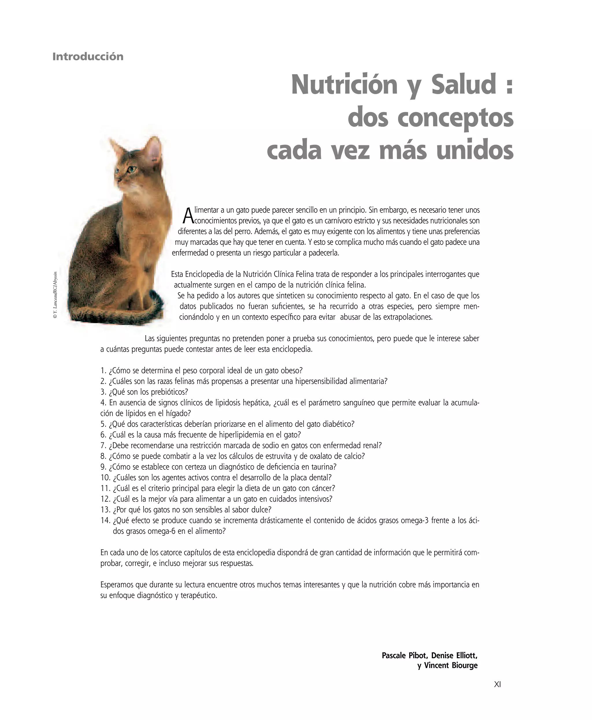 Enciclopedia de la nutrición clínica felina | PDF