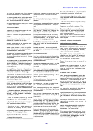 Enciclopedia de plantas medicinales | PDF