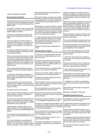 Enciclopedia de plantas medicinales | PDF