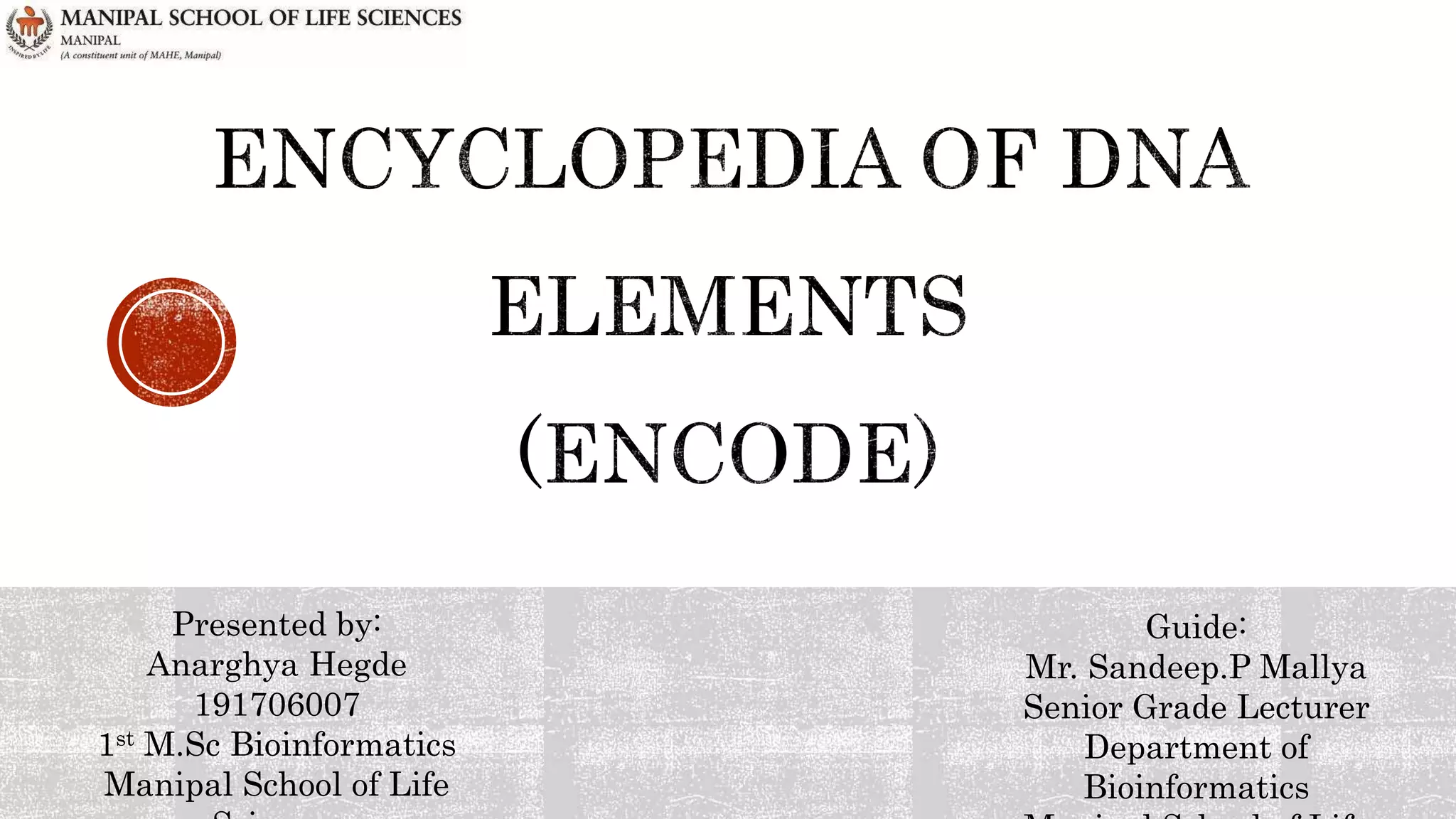 Encode Project | PPTX