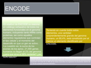 Encode | PPTX