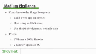 Skynet Hack the System slides | PPT | Free Download
