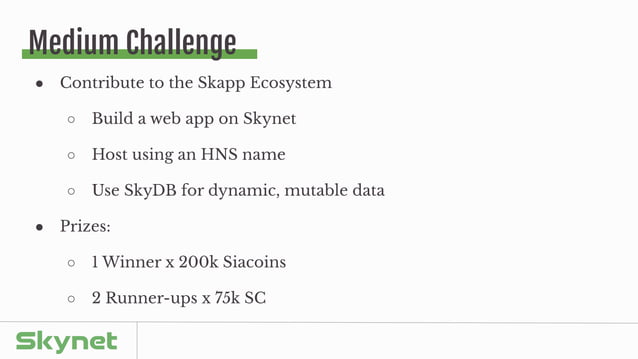 Skynet Hack the System slides | PPT | Free Download