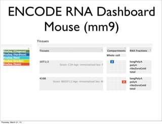 Encode RNA Dashboard | PPT