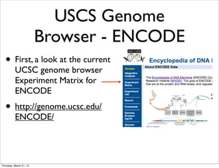 Encode RNA Dashboard | PPT