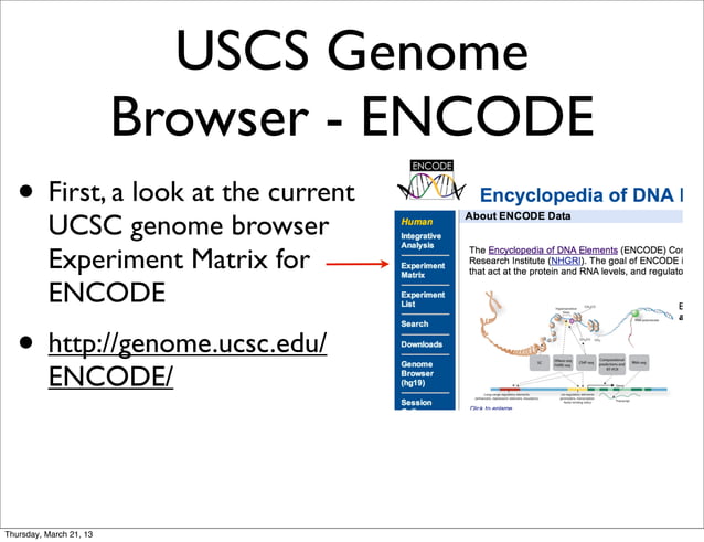 Encode RNA Dashboard | PPT