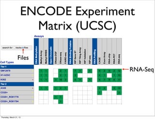 Encode RNA Dashboard | PPT