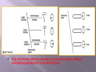 Encoding and image formation | PPTX