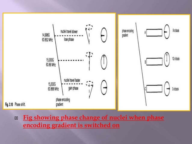 Encoding and image formation | PPTX