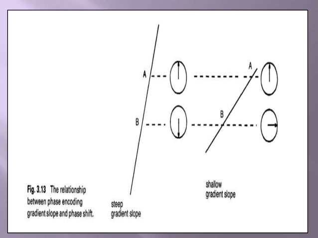 Encoding and image formation | PPTX