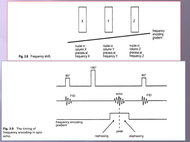 Encoding and image formation | PPTX