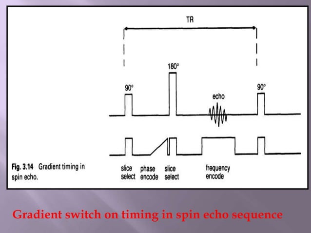 Encoding and image formation | PPTX