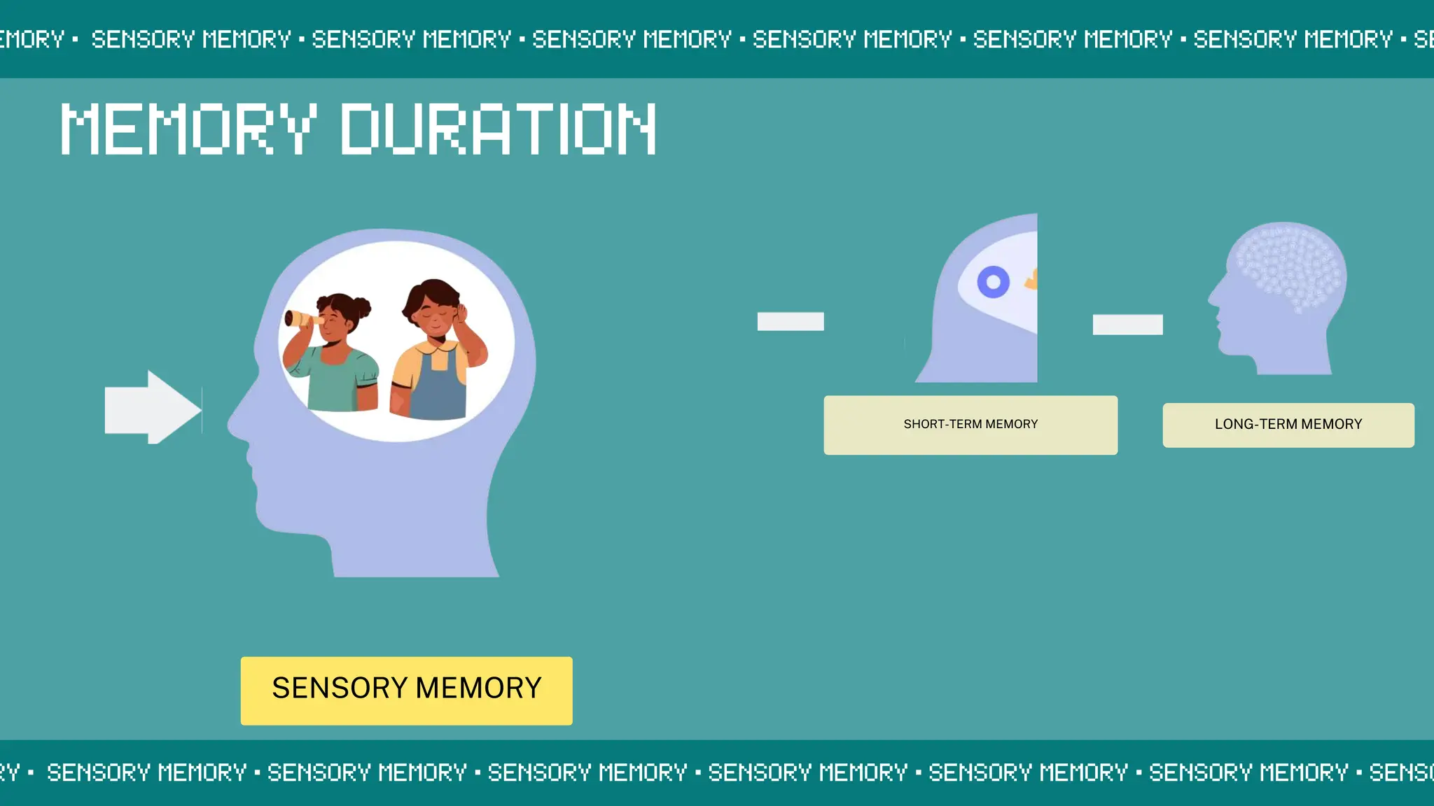 Memory and Cognition: Encoding and Storage.pptx
