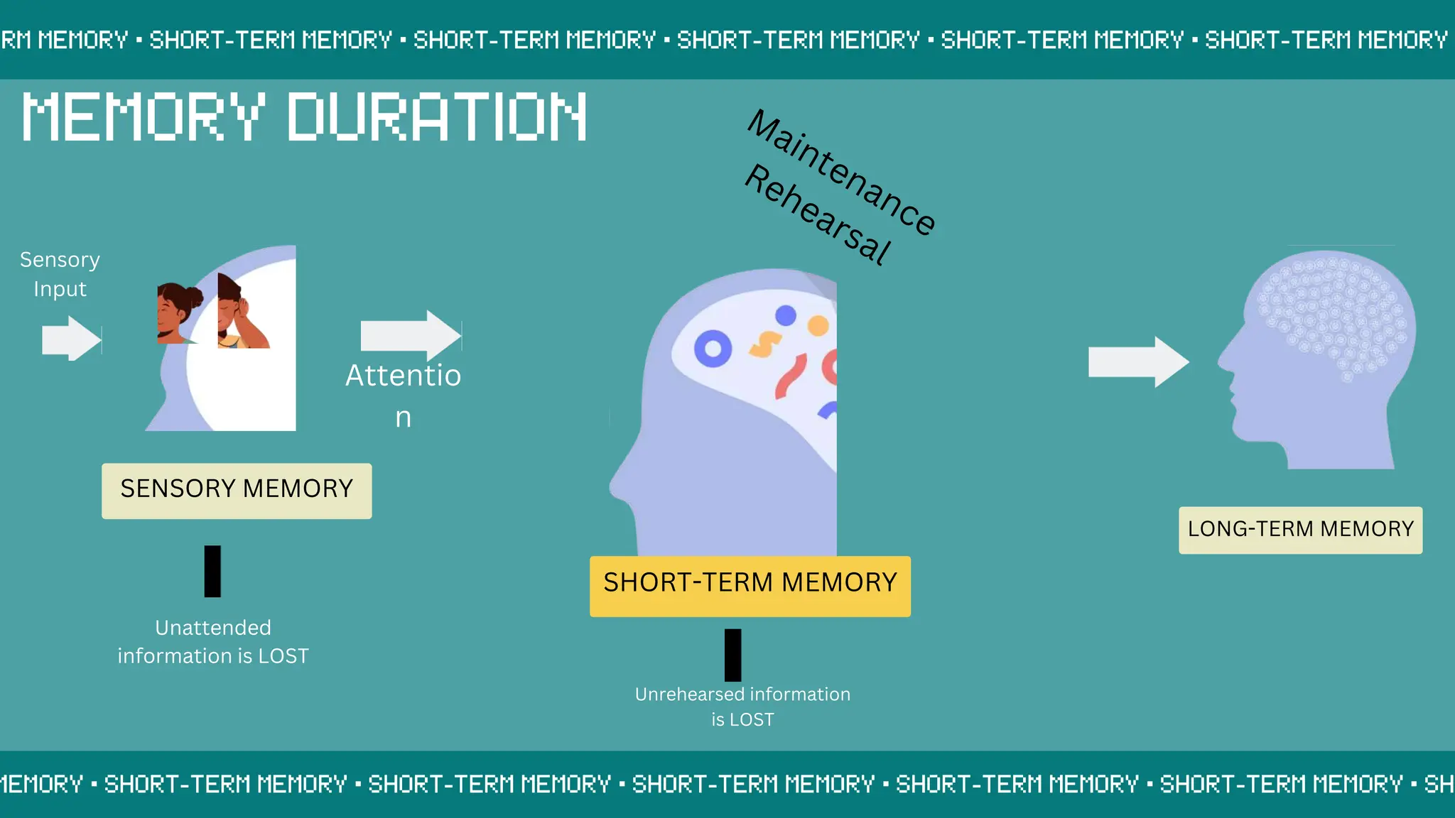 Memory and Cognition: Encoding and Storage.pptx