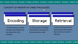 Memory and Cognition: Encoding and Storage.pptx