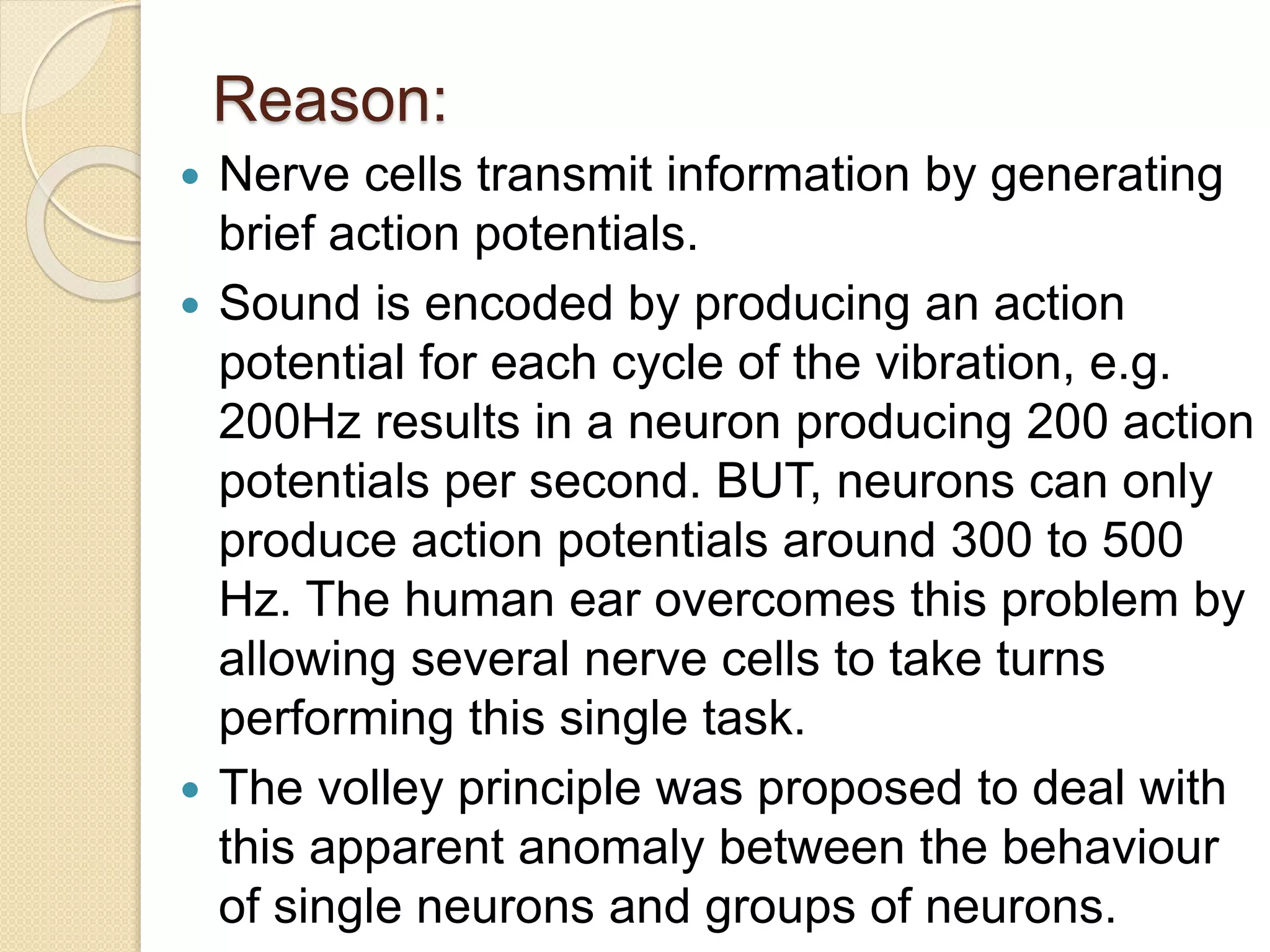 Encoding of frequency and volley theory | PPTX