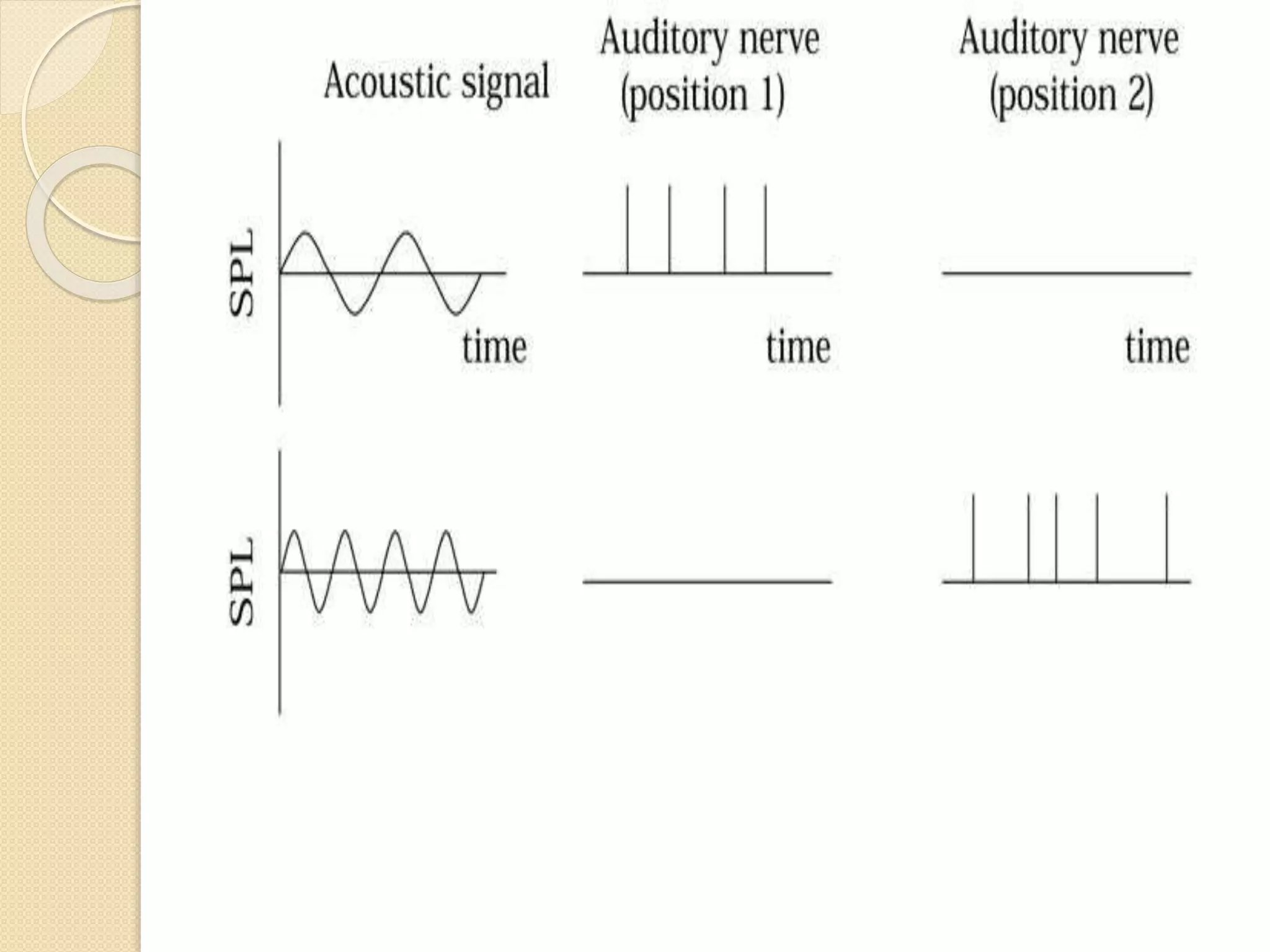 Encoding of frequency and volley theory | PPTX