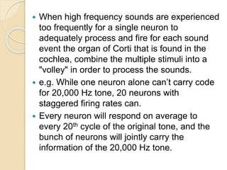 Encoding of frequency and volley theory | PPTX