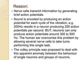 Encoding of frequency and volley theory | PPTX